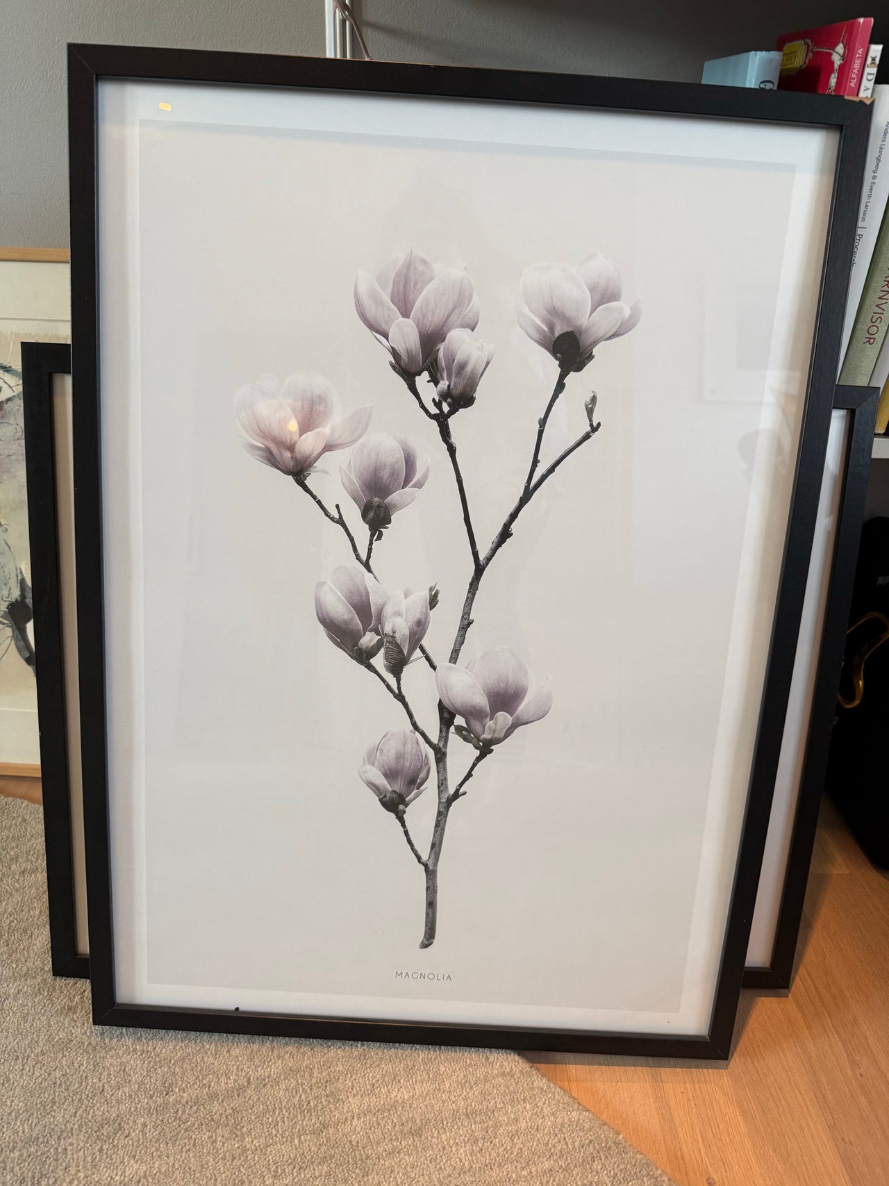Magnolia Tavla Svartvit Blommotiv | Blocket