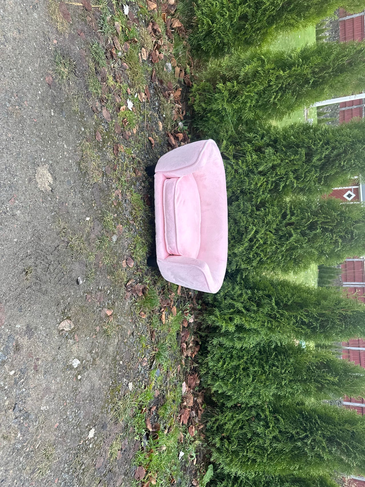 Rosa hundbädd för liten hund | Blocket