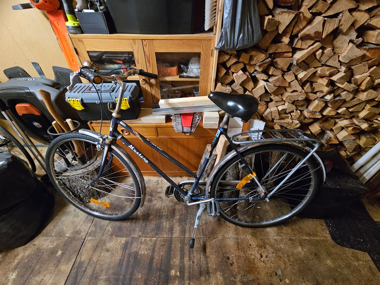 Mustang damcykel | Blocket