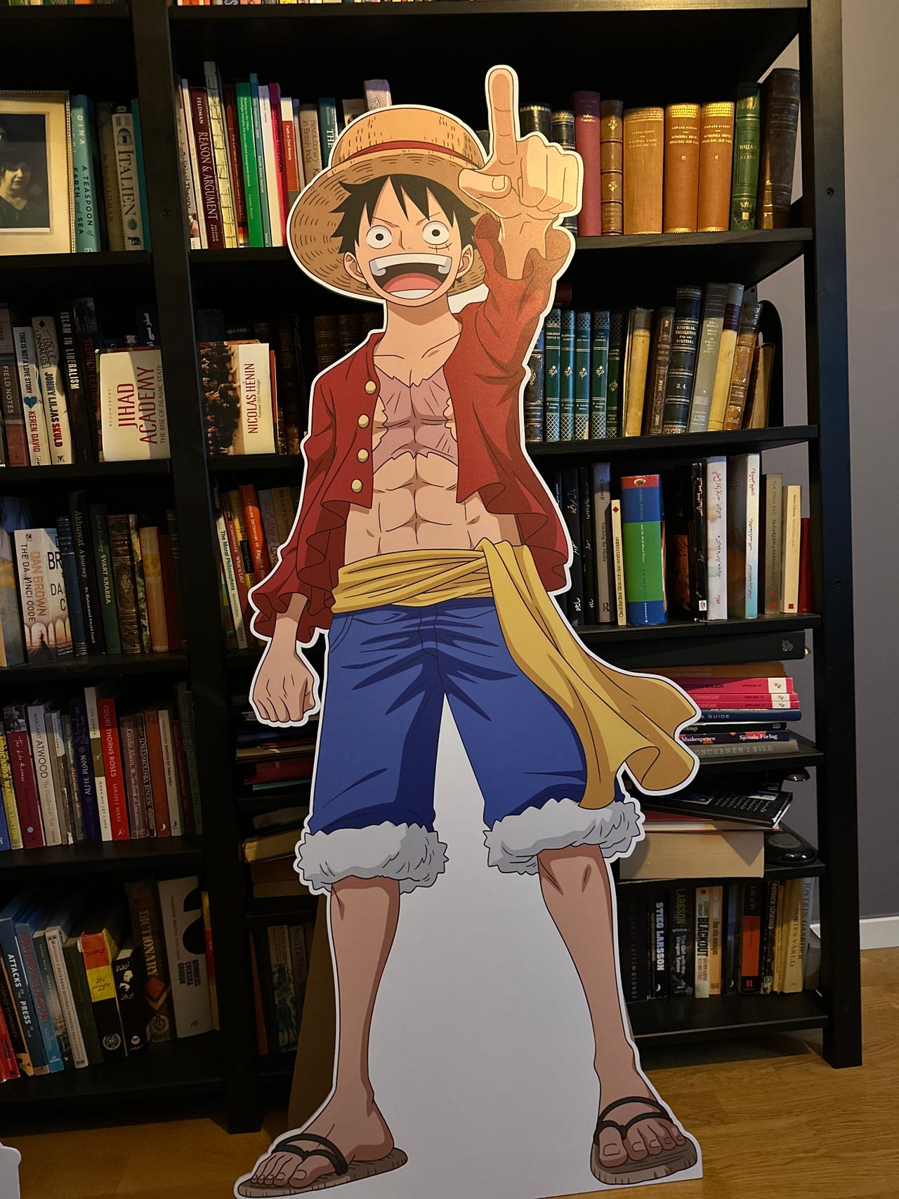 Luffy's Cardboard Cutout Figure - One Piece anime | Blocket