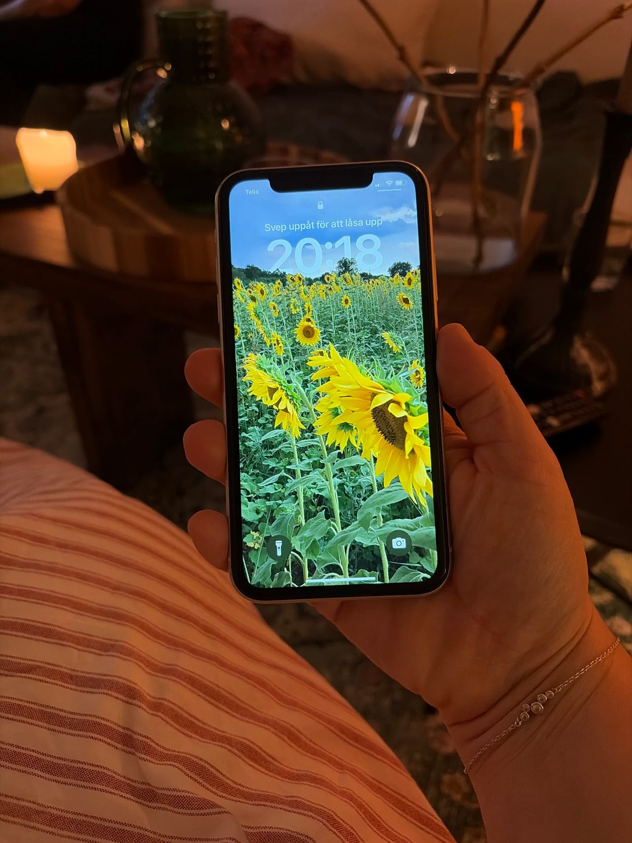 Apple iPhone 11 64 GB | Blocket