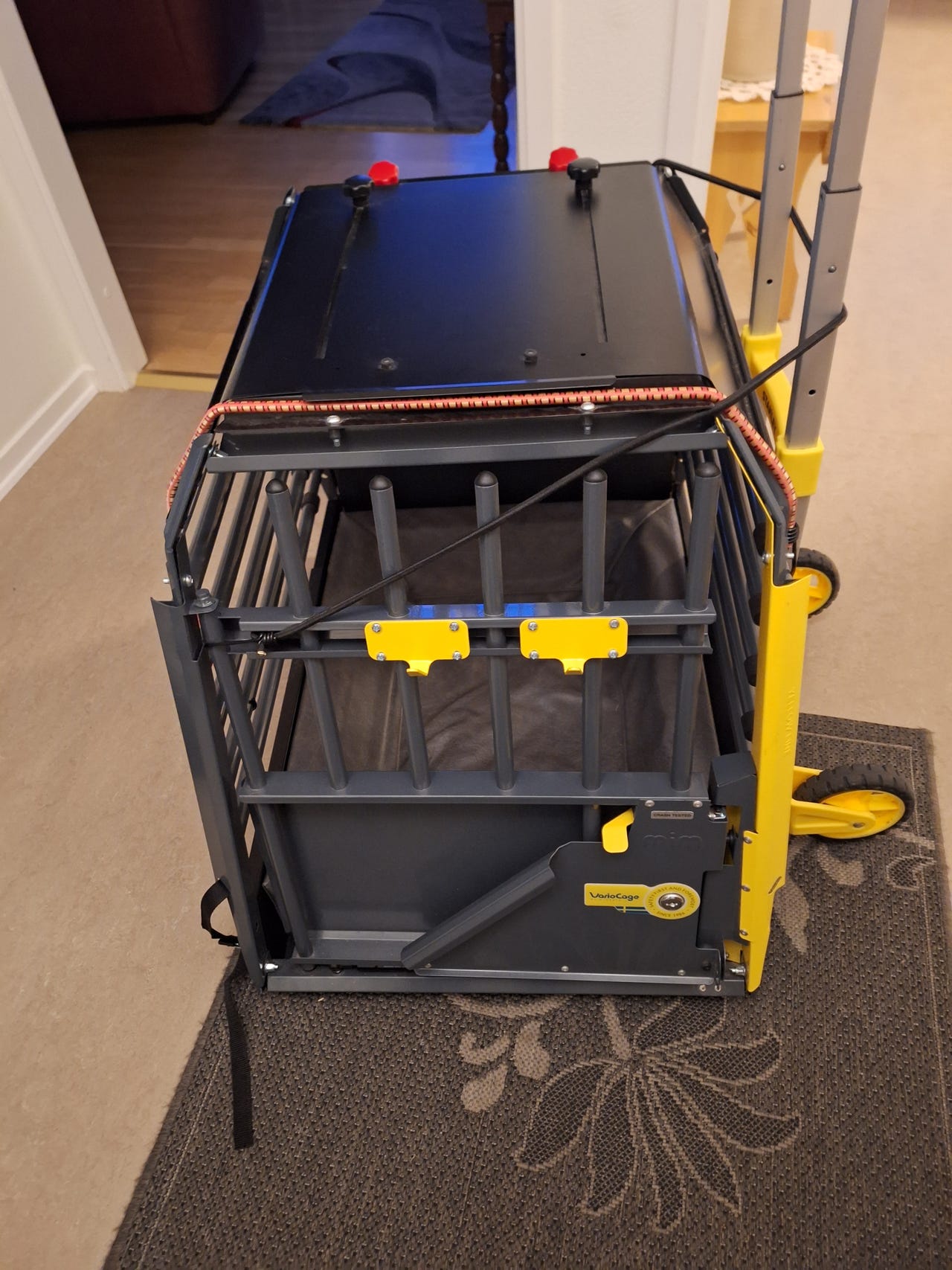 MIM Bur till liten hund typ Dvärgschauzer | Blocket