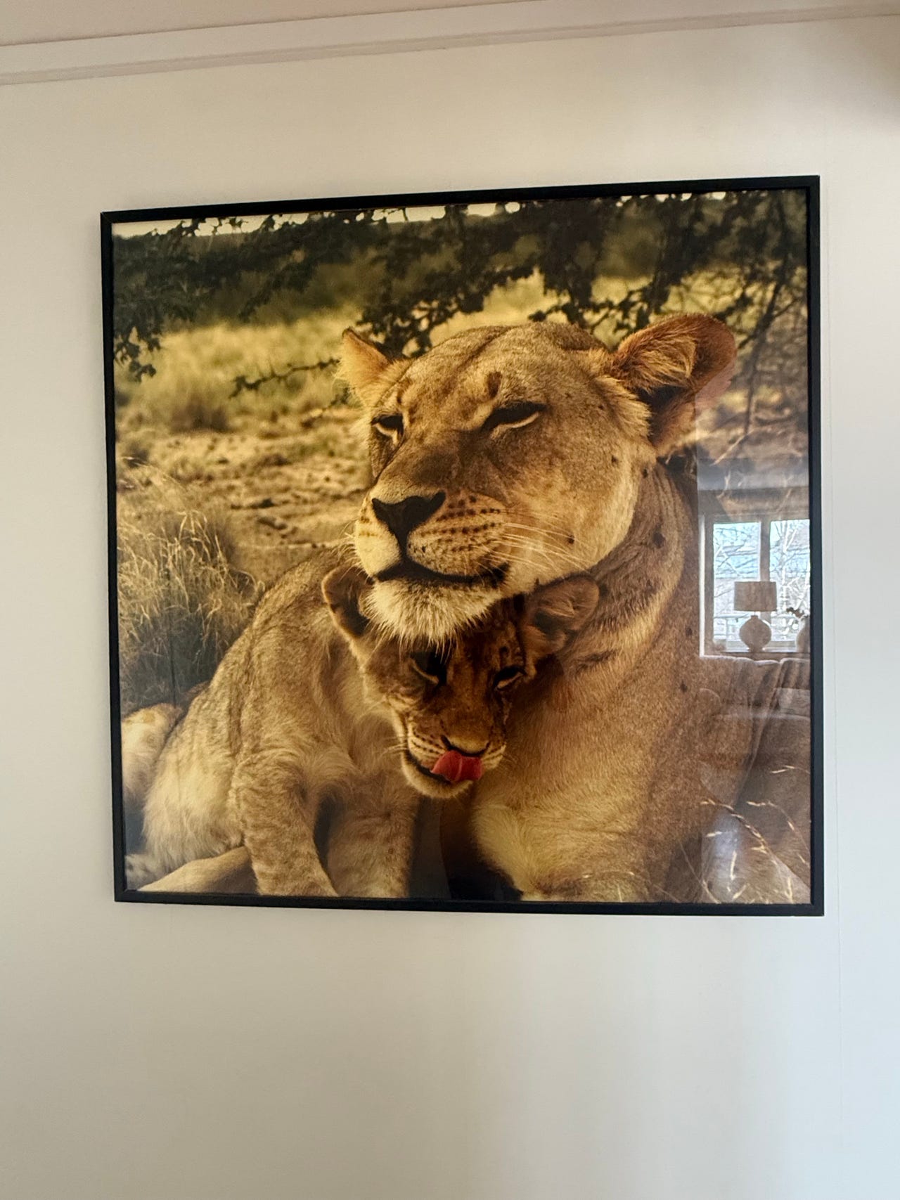 Stor Tavla 102 x 102cm | Blocket