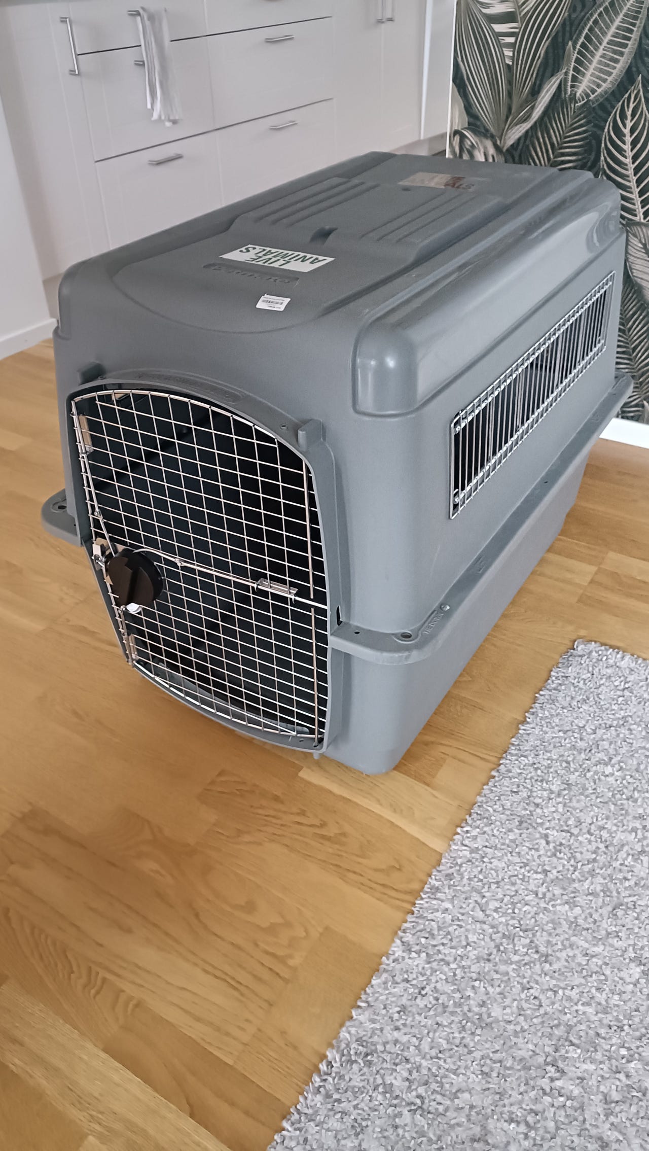 Transportbur för hund/katt plast grå | Blocket