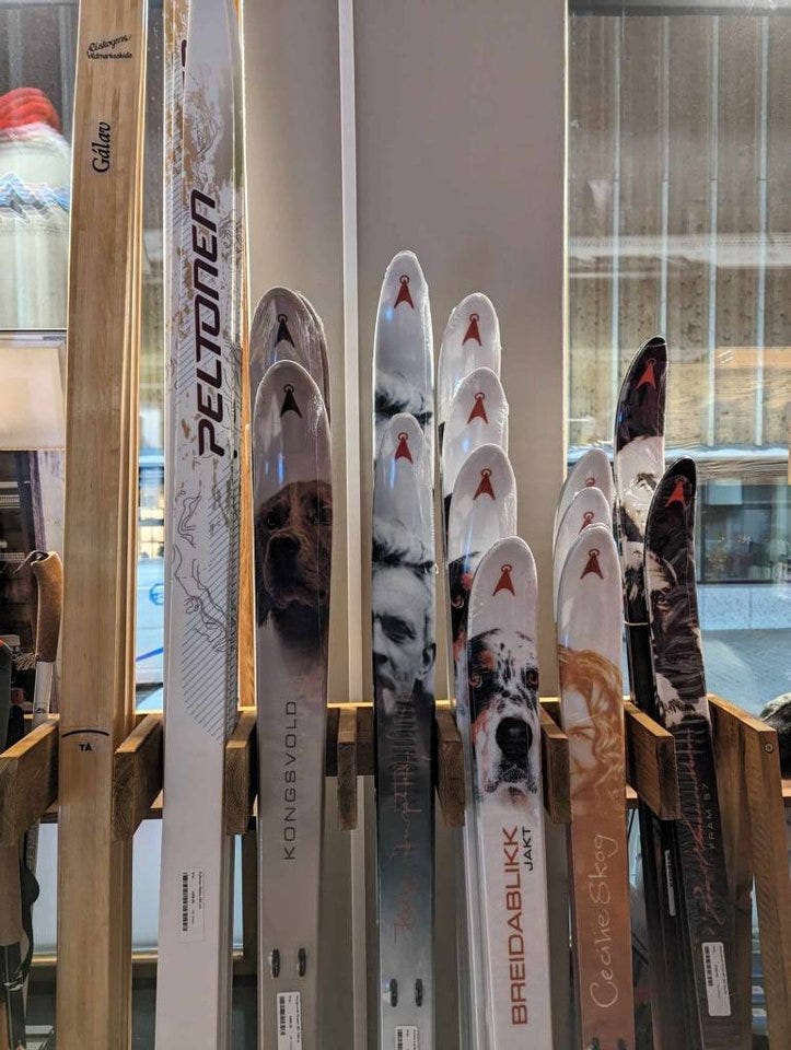 Skidor, bindningar, stavar, bc-kängor, skins etc. | Blocket