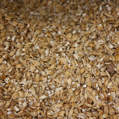 Jay´s Preach Ghost Scorpion ges bort | Blocket