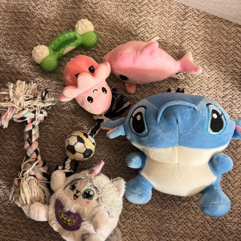 Stora gosedjur bortskänkes | Blocket