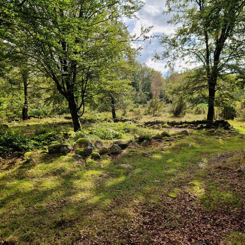 Önskar hyra lokal för hobbysnickeri | Blocket