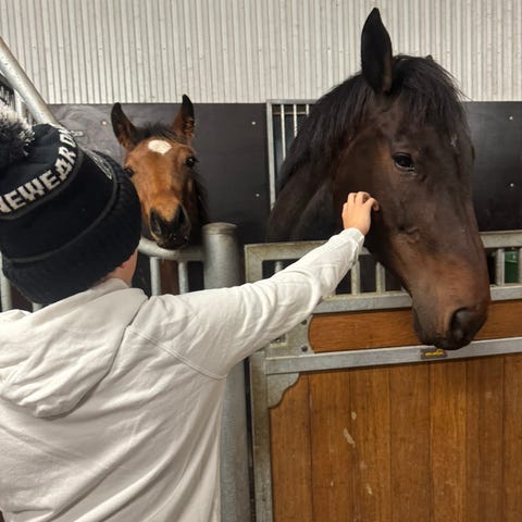 medryttare! | Blocket