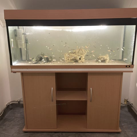 akvarium Jewel, 180 | Blocket