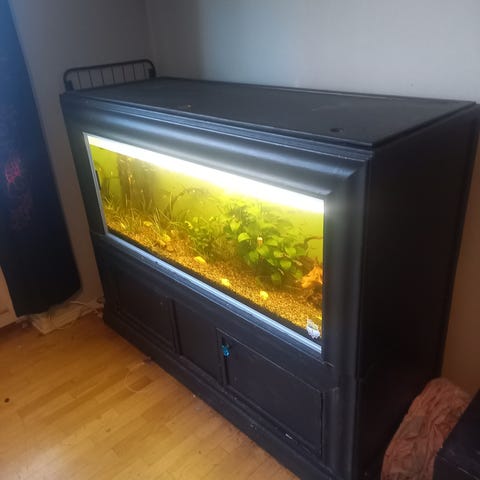 Juwel RIO 180 LED som kytt | Blocket