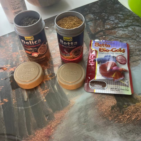 Betta-fisk (Kampfisk) | Blocket