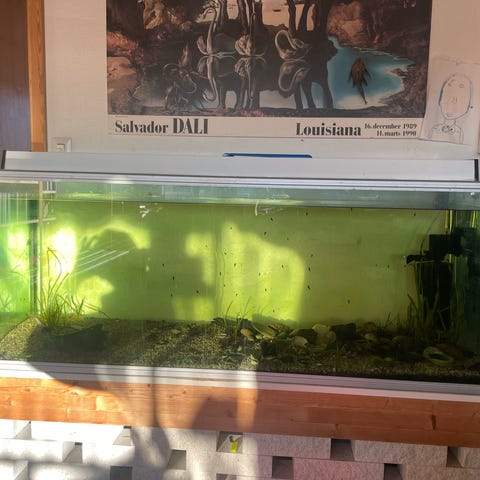 Akvarium Juwel 350 liter | Blocket