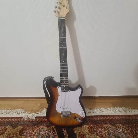 Elgitarr hemmabygge Vikingstyle | Blocket