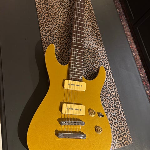 Elgitarr hemmabygge Vikingstyle | Blocket