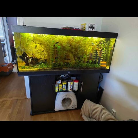 Juwel RIO 180 LED som kytt | Blocket