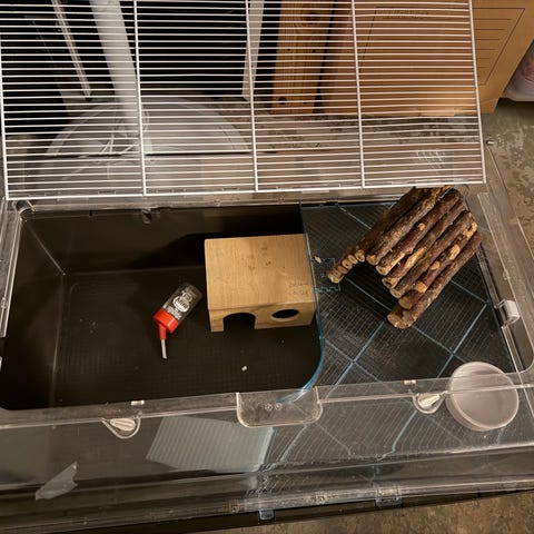 Hamsterbur | Blocket