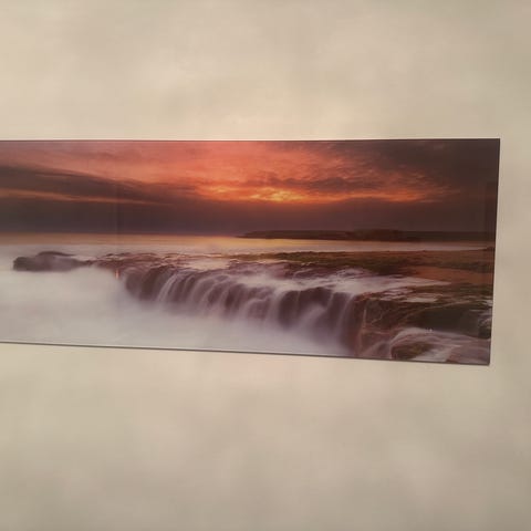 En Tavla, foto, foto-tavla på canvas, hög kvalitet, Tulpan, inredning ...